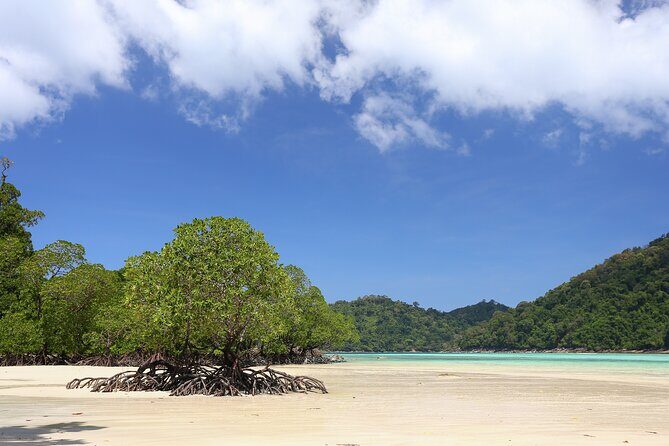 Surin Islands 2 Days 1 Night Trip from Phuket - Who Will Love This Tour?