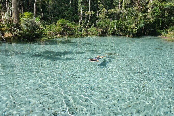Surin Islands Snorkel Tour by SeaStar Andaman from Khao Lak - Deep Dive: Why This Tour Is Worth the Cost