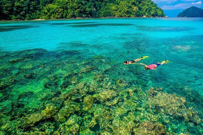 Surin Islands Snorkel Tour by SeaStar Andaman from Phuket - What Travelers Say