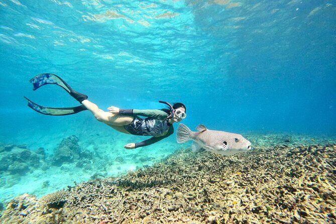 Surin Islands Snorkeling and Beach Trip from Phuket - A Look into the Experience