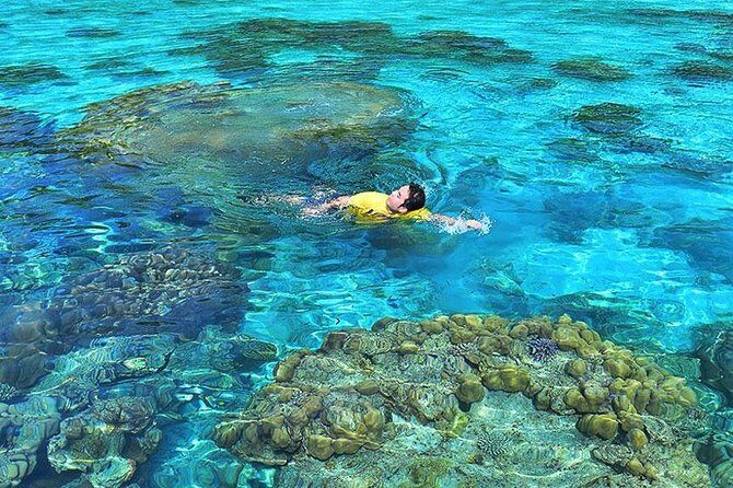 Surin Islands Snorkeling Day Trip By Love Andaman From Phuket - Who is This Tour Best For?