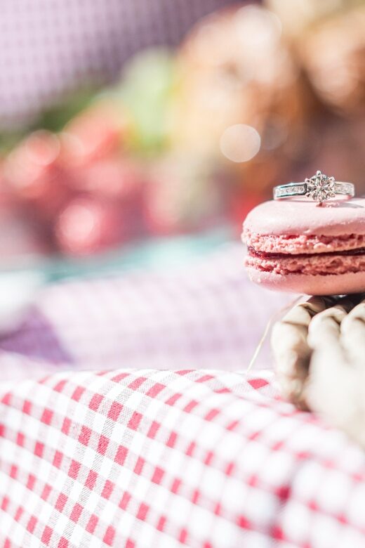 Surprise Proposal Picnic - Paris Proposal Planner - FAQ