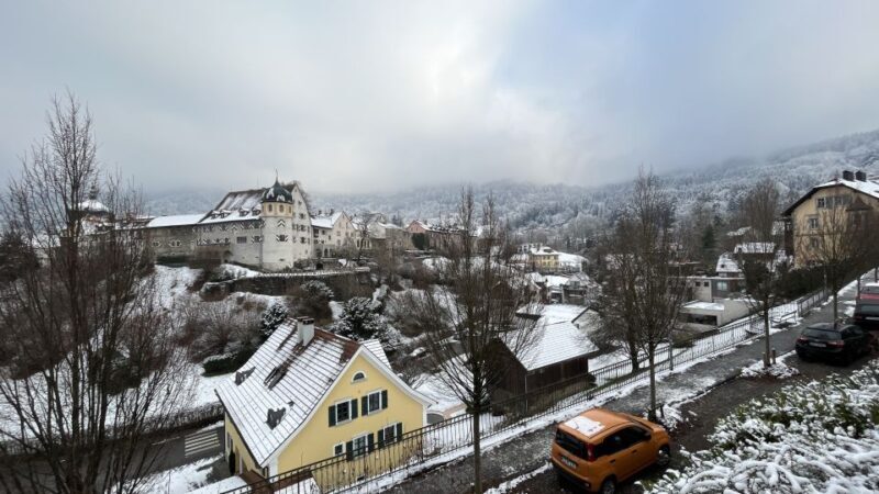 Surprise tour of Bregenz guided by a Local - Key Points