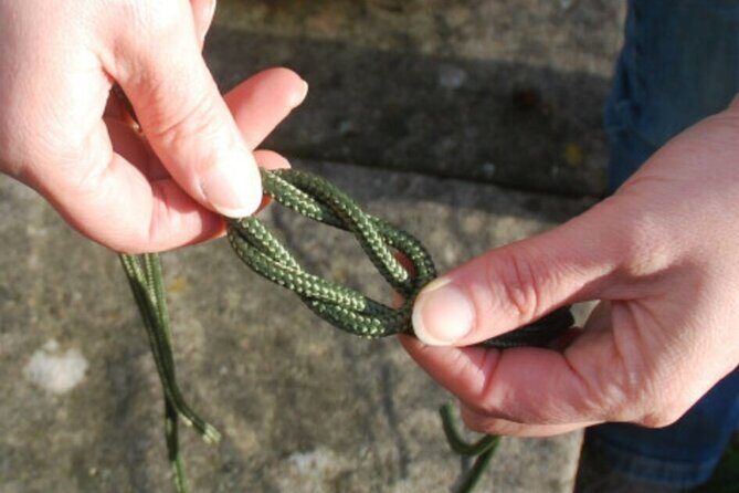 Survival Course & Basic Bushcraft Learning to Survive in the Wild - What the Reviews Say