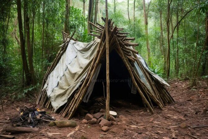Survival Course & Basic Bushcraft Learning to Survive in the Wild - Who Will Find This Tour Valuable?