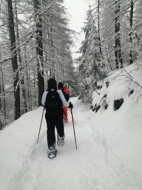 Susa Valley at dawn: snowshoeing in nature and silence - An In-Depth Look at the Tour