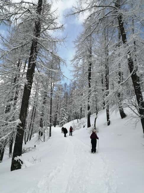 Susa Valley at dawn: snowshoeing in nature and silence - Value and Practical Aspects