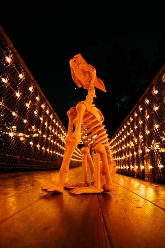 Suspended at Capilano Bridge A 7-Stop Halloween Private Tour - Key Points