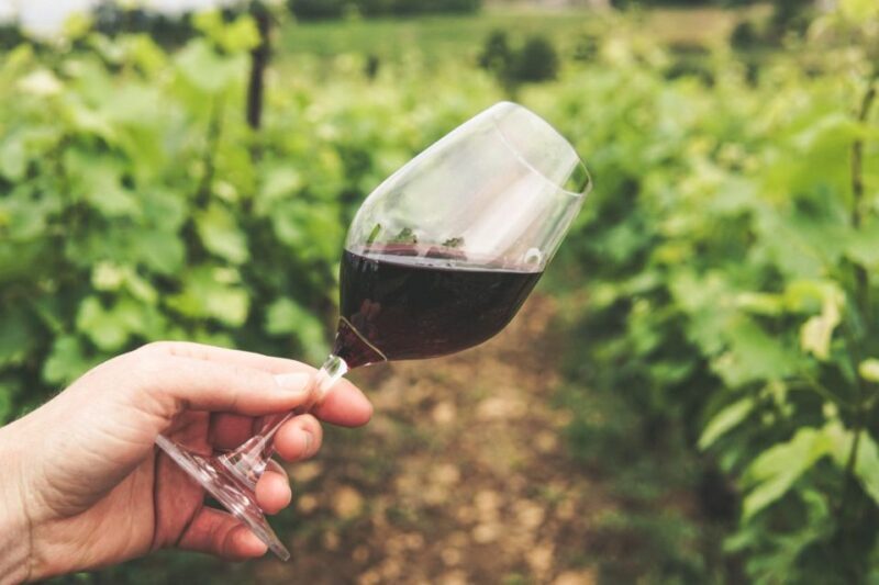 Sussex: Small-Group Wine Tours - An Overview of the Sussex Small-Group Wine Tour