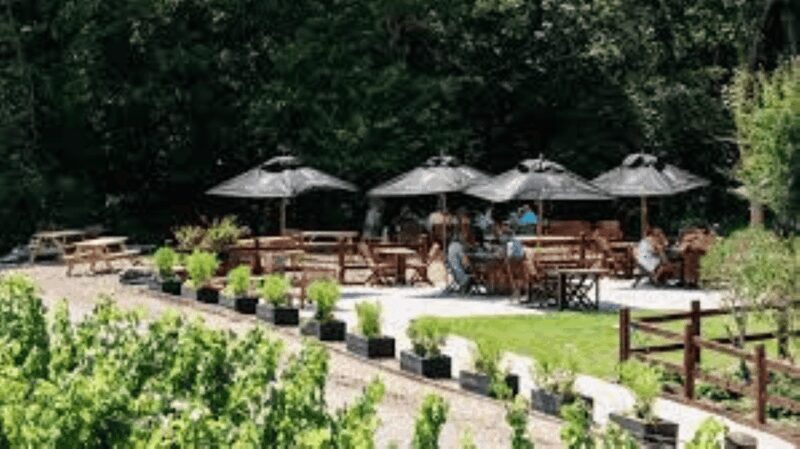Sussex Vineyard Tour by Minibus - pick up and drop off - Sussex Vineyard Tour by Minibus - Pick Up and Drop Off