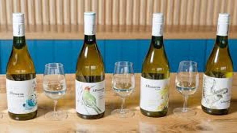 Sussex Vineyard Tour by Minibus - pick up and drop off - Final Thoughts: Is It Worth It?
