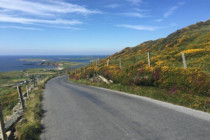 Sustainable Connemara and Galway Bay Rail Tour from Dublin - Lunch Overlooking Roundstone Harbor
