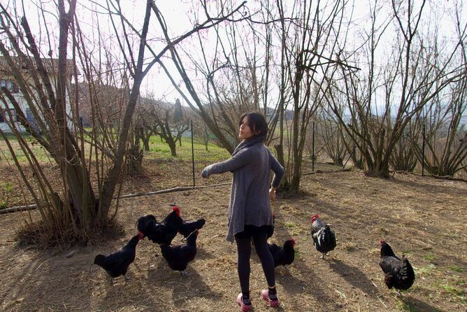 Sustainable Farm Tour & Northern Italian Cooking Class in Asti - FAQs