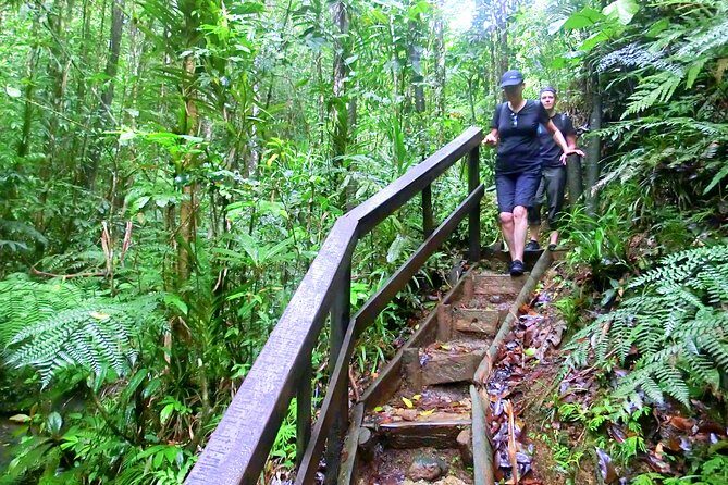 Suva Customized tour- Private - How the Tour Has Been Received