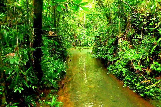 Suva Customized tour- Private - Final Thoughts: Is This Tour Right for You?