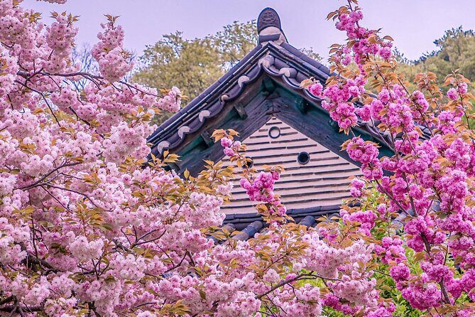 Suwon Hwaseon & King Cherry Blossom Gakwonsa & Flower Festival - Key Points