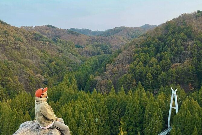 Suwon Hwaseong Fortress & Jangtaesan Full-Day Tour: Autumn Leaves - Scenic Escape at Jangtaesan Forest