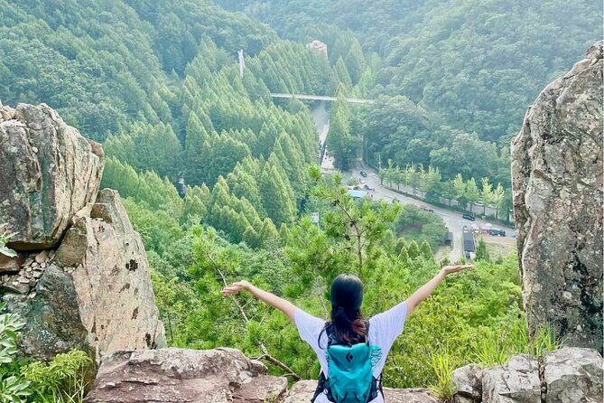 Suwon Hwaseong Fortress & Jangtaesan Full-Day Tour: Autumn Leaves - Frequently Asked Questions