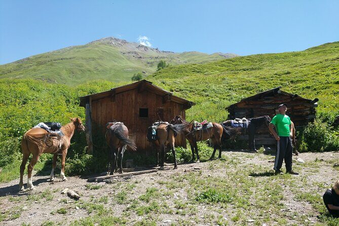 Svaneti Mountain Villages 4x4 Safari, tour from Kutaisi - Value and Cost Analysis