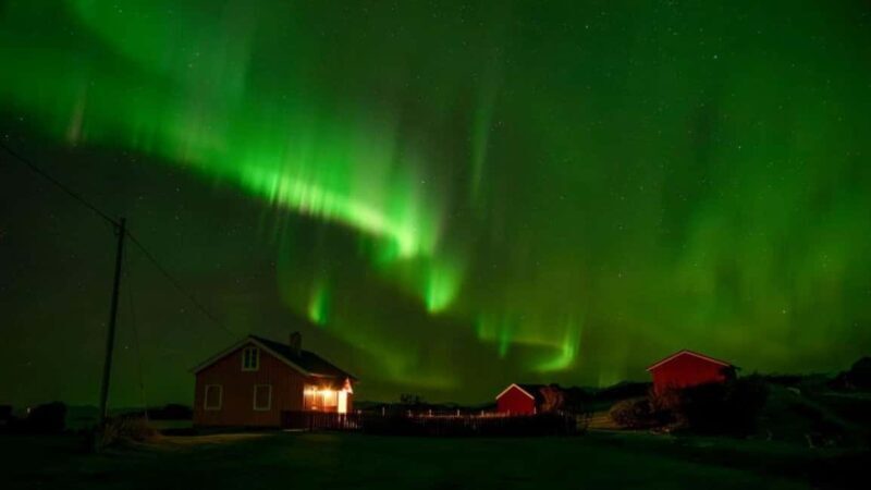 Svolvær: Northern Lights Tour with Hot Drinks & Photos - Key Points
