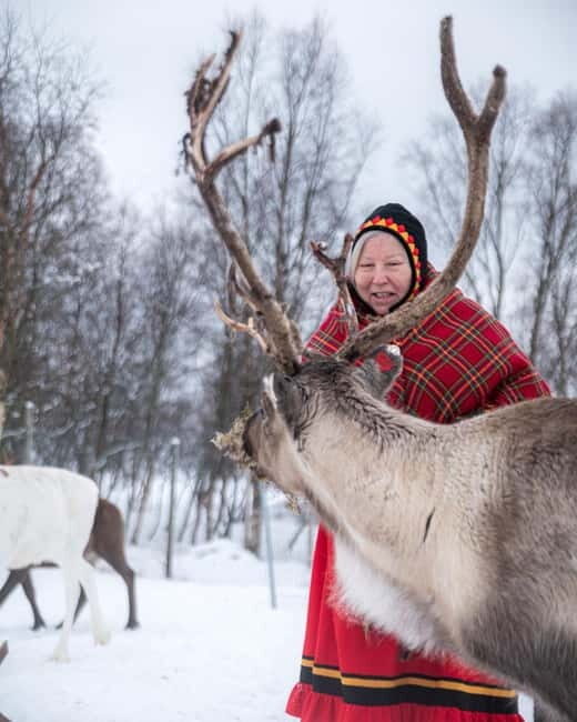 Svolvær: Sami Culture and Reindeer Experience - Real-Life Travel Tips
