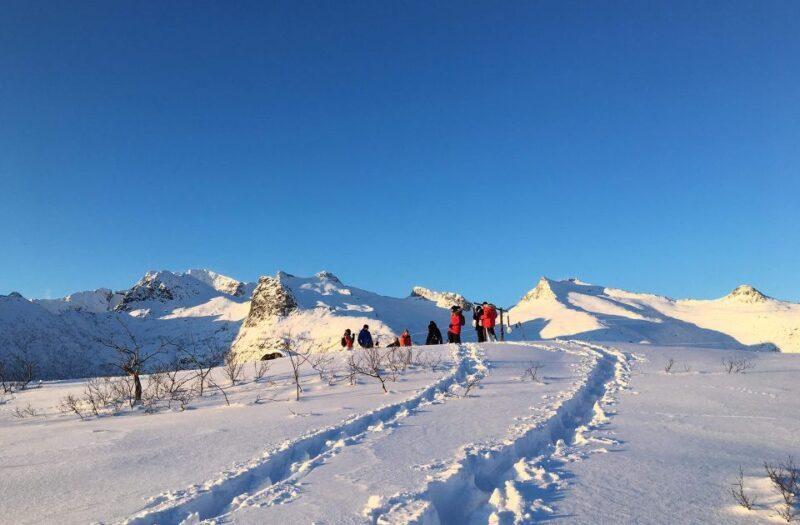 Svolvær: Snowshoe Nature Explorer - Key Points