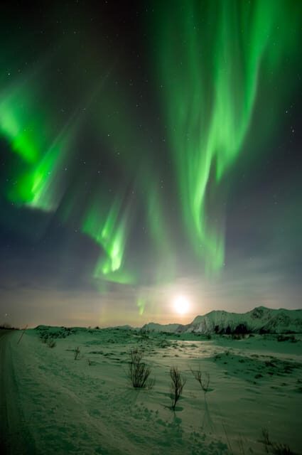 Svolvær: Ultimate Aurora Hunt - Who Is This Tour Best For?