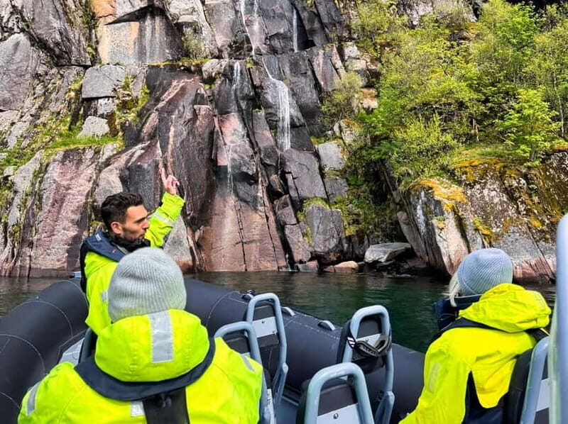 Svolvær: White-Tailed Eagle Safari with professional RIB - Duration and Value