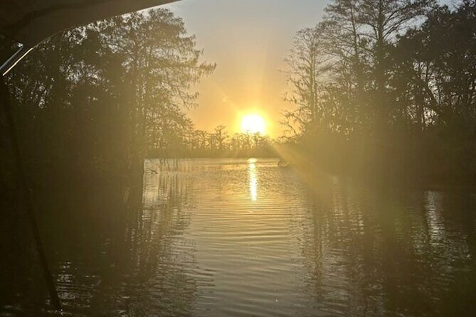 Swamp - Eco - Cruise and Walking Tour - Key Points