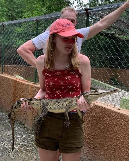 Swamp Safari and Rose Hall Great House Day Tour - The Practicalities