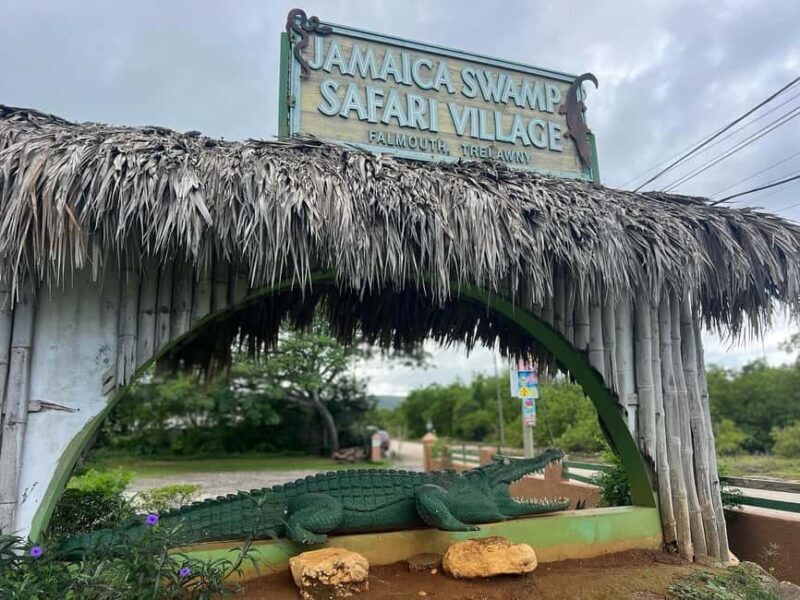 Swamp Safari and Rose Hall Great House Day Tour - Practical Details and Considerations