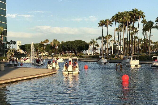 Swan Boat Rental at Rainbow Lagoon - Introducing Rainbow Lagoon Swan Boat Rentals