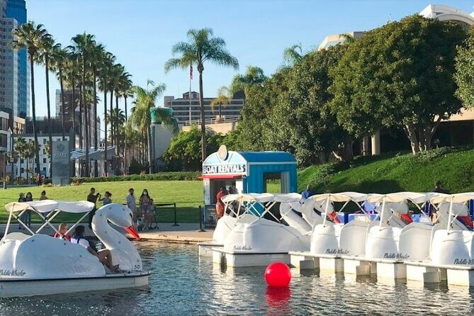 Swan Boat Rental at Rainbow Lagoon - The Reviews Tell the Story