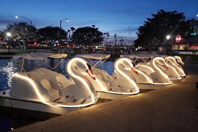 Swan Boat Rental at Rainbow Lagoon - Who Will Love This?
