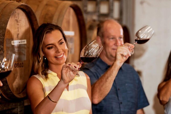 Swan Valley Boutique Wine Tour: Half-Day Small Group Experience - What Travelers Say: Genuine Insights from Reviews