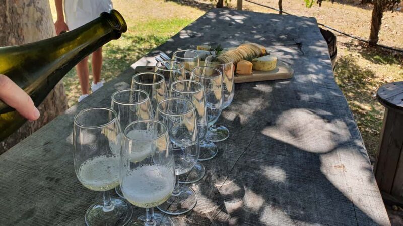 Swan Valley: Full-Day Wine Tour with Lunch - Discovering Swan Valley: A Balance of Scenic Beauty and Authentic Tastings