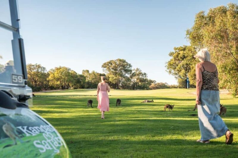 Swan Valley: Golf Cart Kangaroo Safari w/ Mini Golf & Drink - Key Points