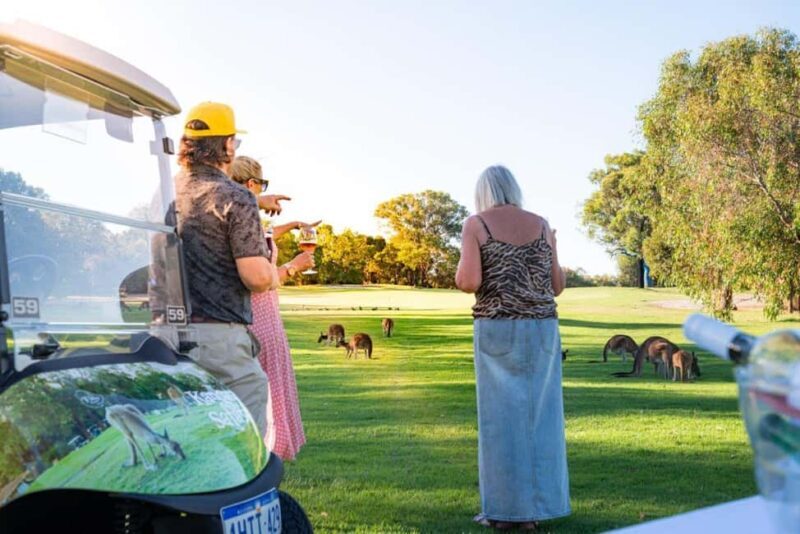 Swan Valley: Golf Cart Kangaroo Safari w/ Mini Golf & Drink - Who Will Love This Tour?