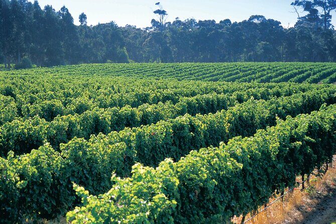 Swan Valley Private Tour - FAQs