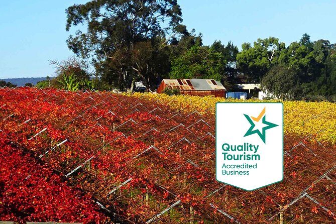 Swan Valley Region Private Day Tours - An Introduction to the Swan Valley Private Tour