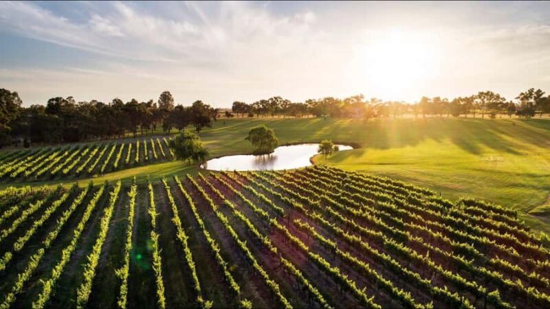 Swan Valley: Tour with 5 star Culinary Chefs 5 course lunch. - Introduction