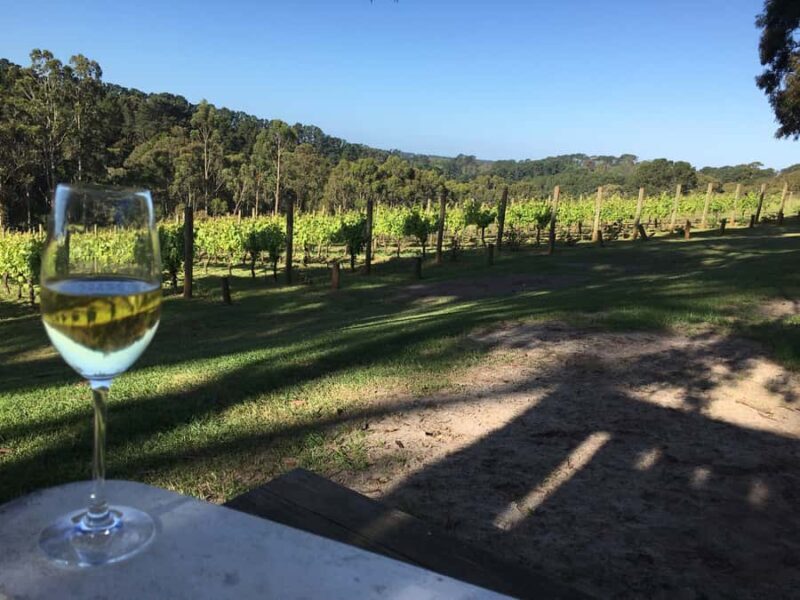Swan Valley Wine Discovery: Private Tour from Perth - An Honest Look at the Swan Valley Private Wine Tour