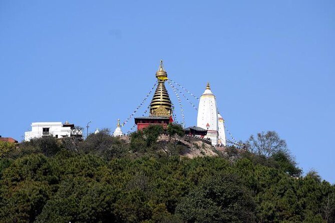 Swayambhunath and Patan Durbar Square Half Day Tour in Kathmandu - Key Points