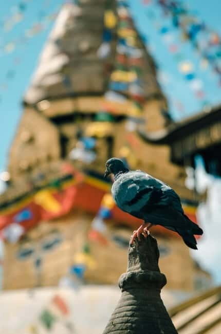 Swayambhunath: Sunset and City Lights Tour - The Experience at Swayambhunath