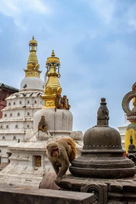 Swayambhunath: Sunset and City Lights Tour - Who Will Enjoy This Tour?