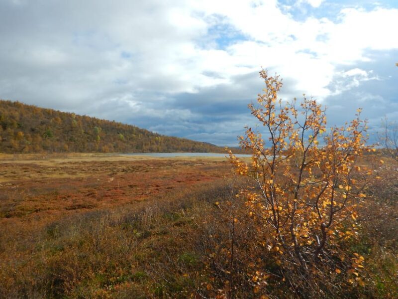 Swedish Lapland: A trekking week with helicopterflight - FAQ
