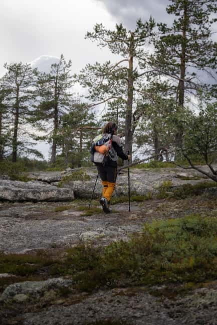 Swedish Lapland: Guided Summer Hiking Tour with Lunch - Key Points