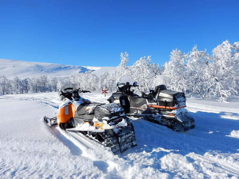 Swedish Lapland: Snowmobile safari - Who Will Love This Tour?