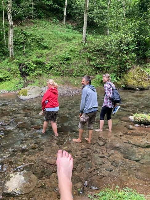 Sweet excursion and Mtirala forest - A Practical Guide to the Tour