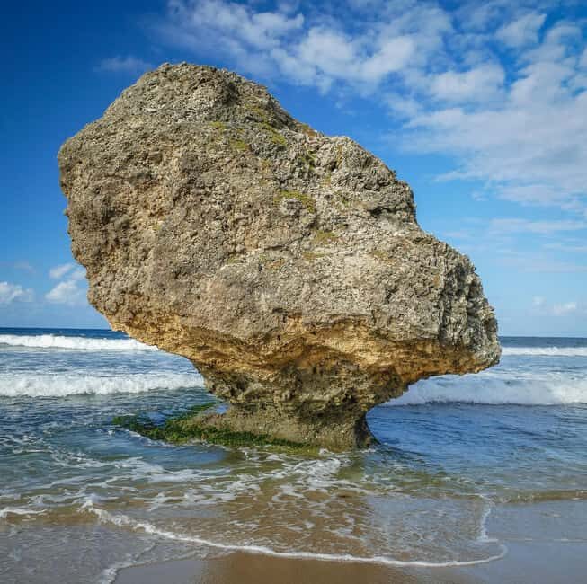 Sweet Life Island Tours - Final Thoughts